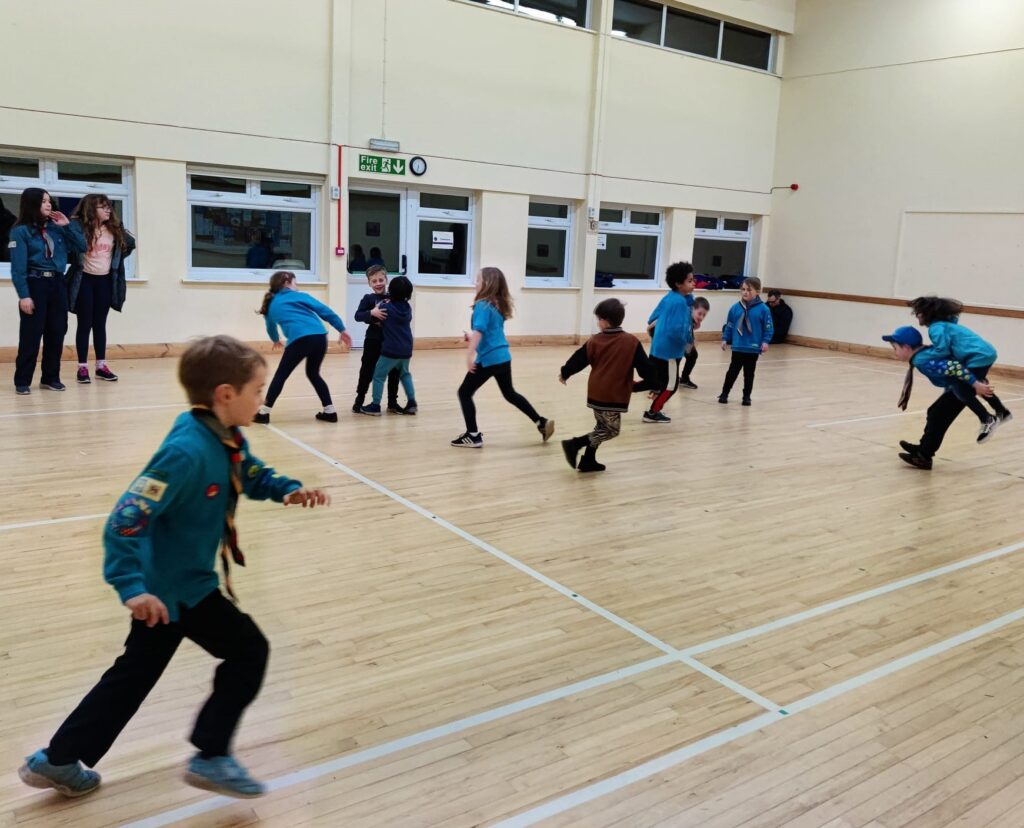 Beavers - Camberley 478 Scout Group